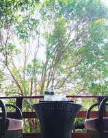 Uma cesta de vime com garrafas de água numa varanda com vista para árvores.