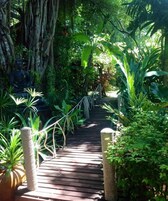 Friendship Suite | Vista para o jardim