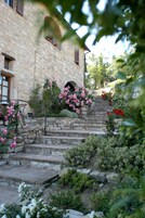 Jardim