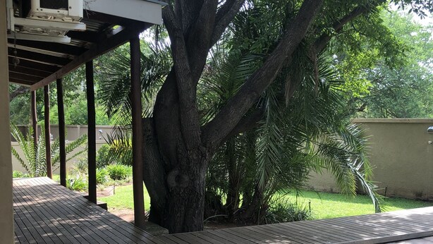 Um deck de madeira com piscina, cercado por árvores e uma área gramada.