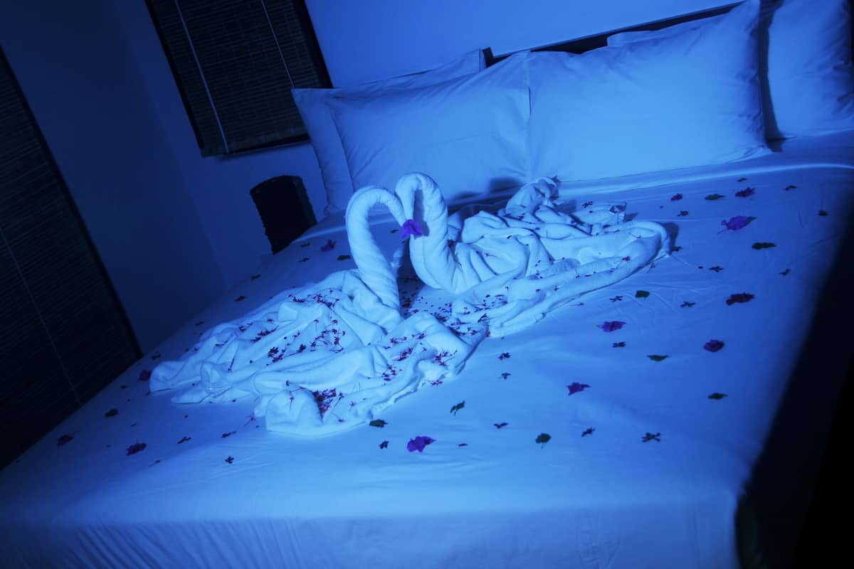Uma cama com lençol branco, uma toalha em formato de cisne e flores roxas espalhadas.