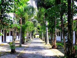 Vista da propriedade