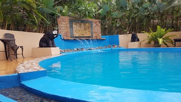 Piscina com borda azul, parede de pedra com escultura em relevo e vegetação ao redor.