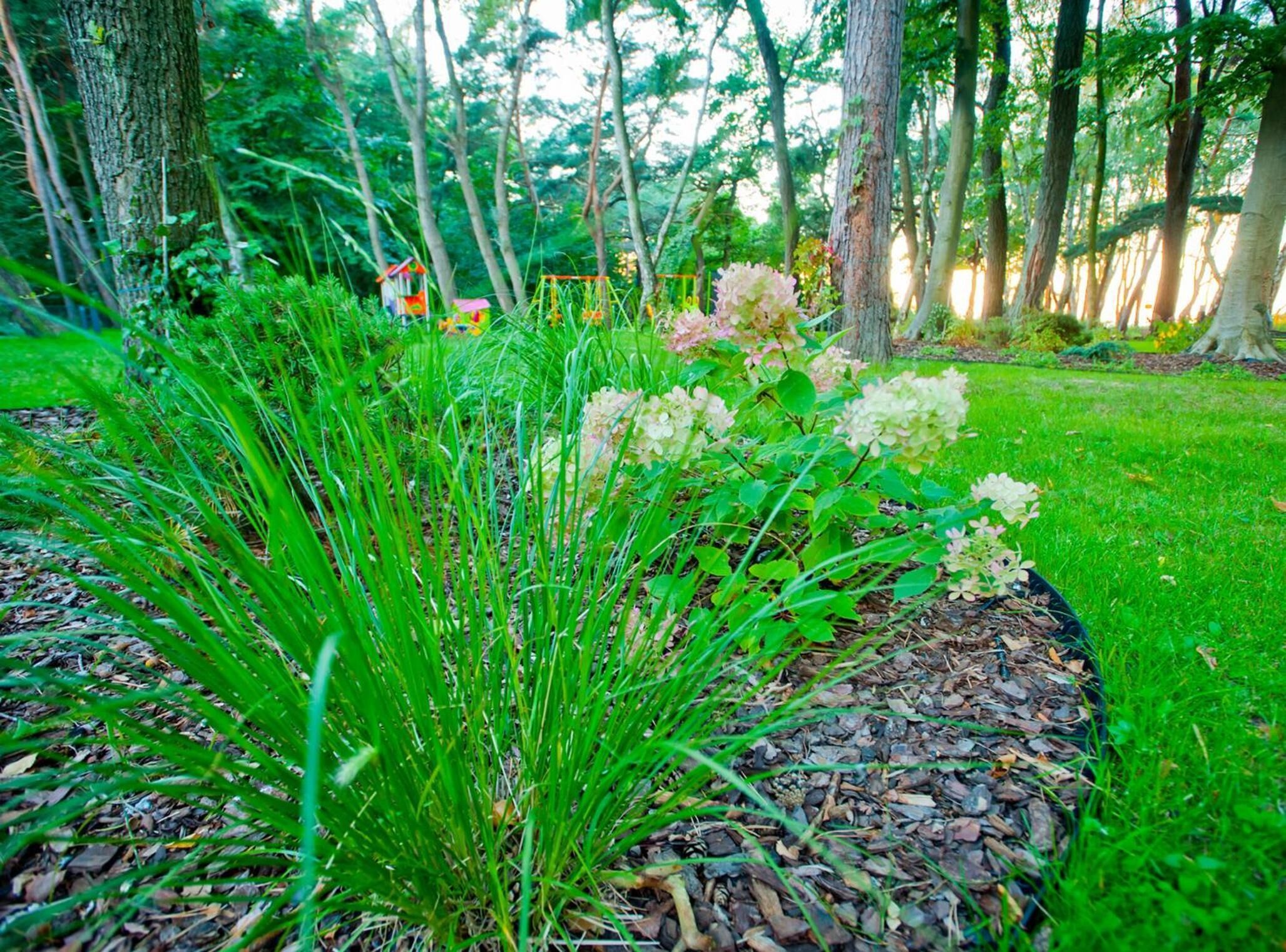 Um jardim com grama verde, arbustos de hortênsia e árvores.