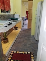 Uma cozinha compacta com pia, fogão e geladeira. Há uma planta em vaso no balcão, e um tapete vermelho no chão.