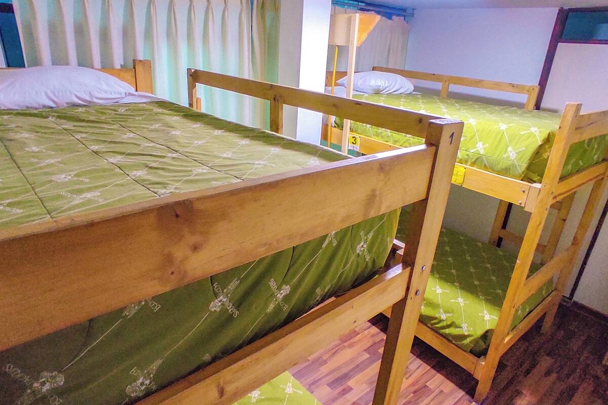 Quarto com beliches, cabeceiras de madeira e edredom verde.