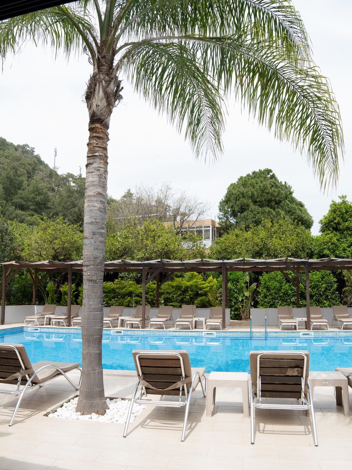 Piscina exterior, guarda-sóis, espreguiçadeiras 