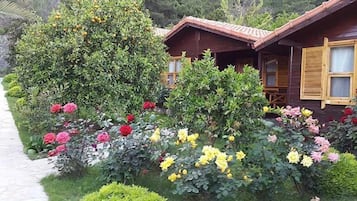 Jardim