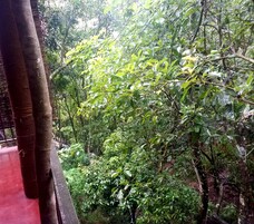 Casa de campo econômica, 1 quarto, para não fumantes, vista para o vale | Jardim