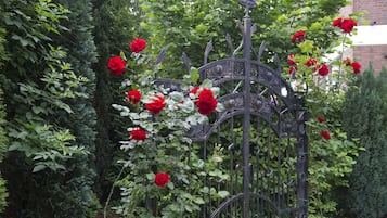 Jardim