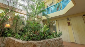 Um jardim interno amplo com diversas plantas e um vaso de pedra em primeiro plano.