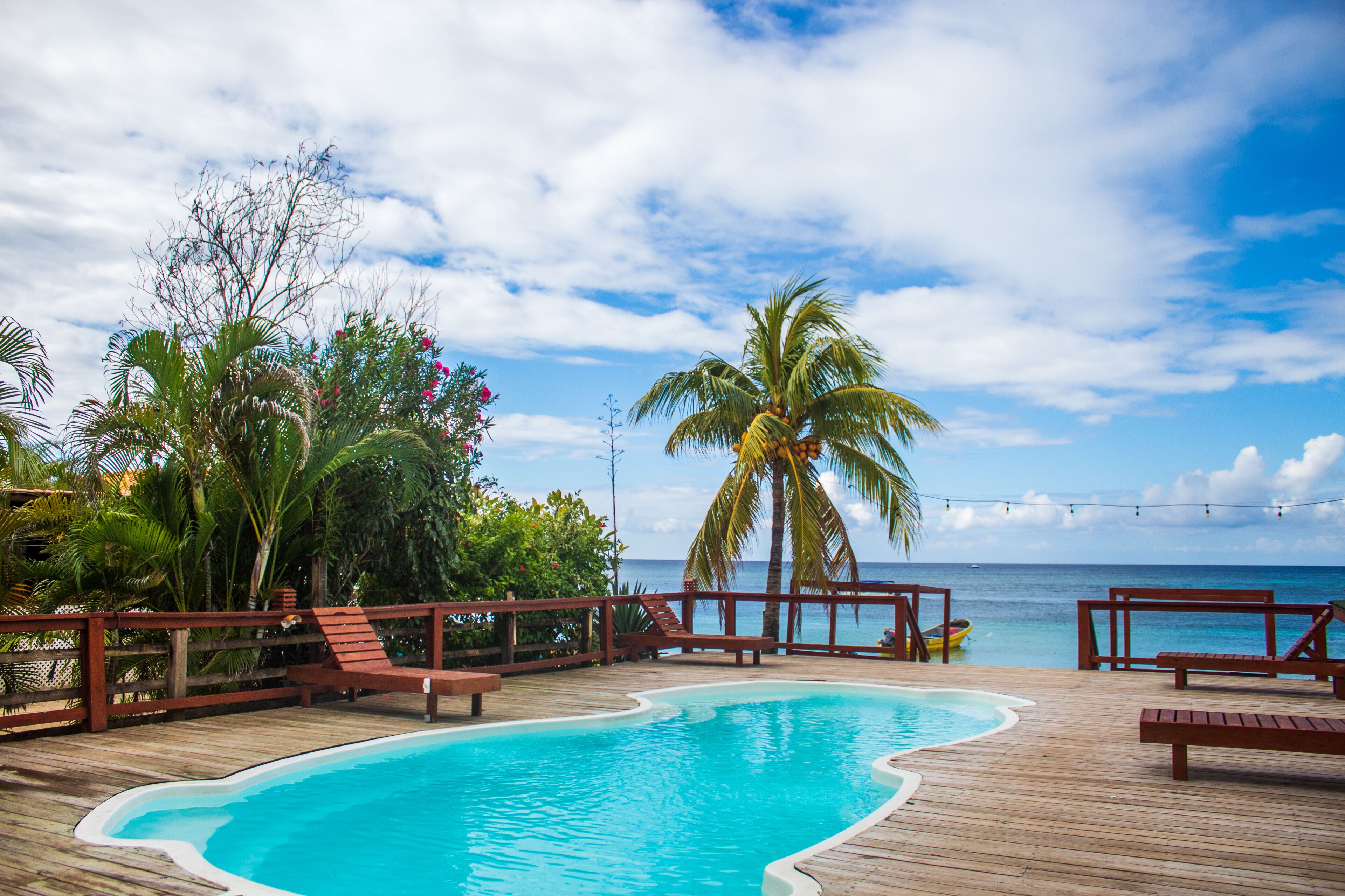 Coconut Tree West End West Bay Beach Roatan Honduras Travel Guide