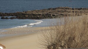 Uma praia com afloramentos rochosos, ondas e gaivotas.