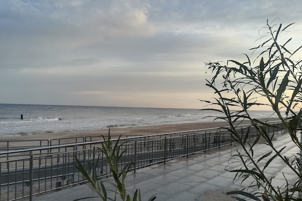 Perto da praia, espreguiçadeiras