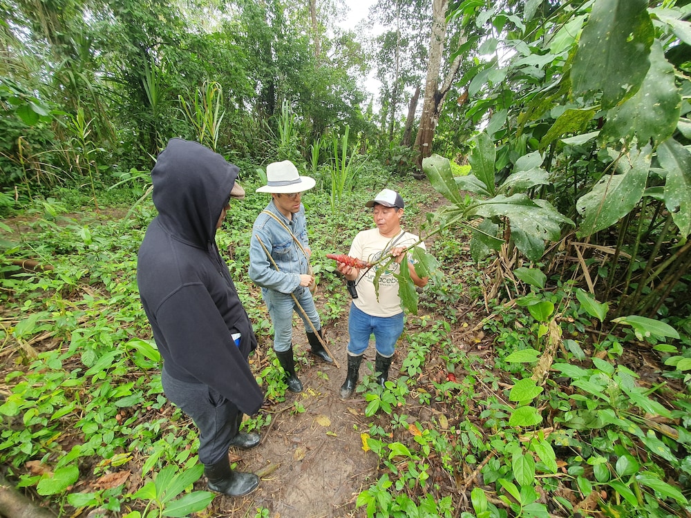 Cumaceba Amazon Lodge - State of Amazonas