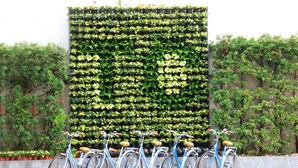 Uma fileira de bicicletas estacionadas em frente a uma parede com jardim vertical.