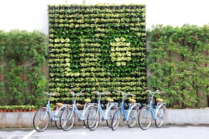 Uma fileira de bicicletas estacionadas em frente a uma parede com jardim vertical.