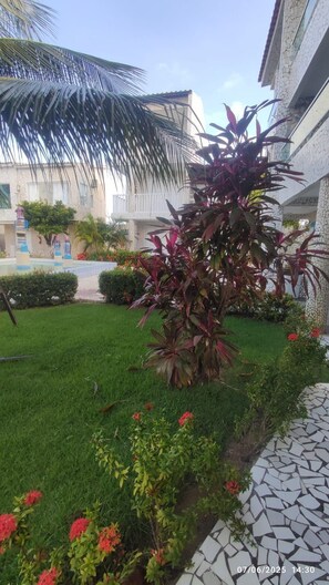 Um jardim com uma palmeira, um arbusto pequeno de folhas vermelhas e um caminho com azulejos.