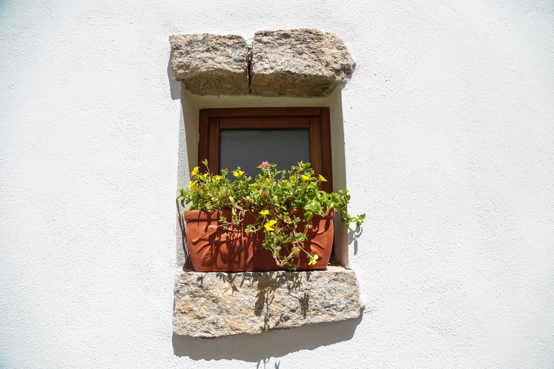 Janela com moldura de madeira e um parapeito de pedra, com um vaso e planta de flores amarelas.