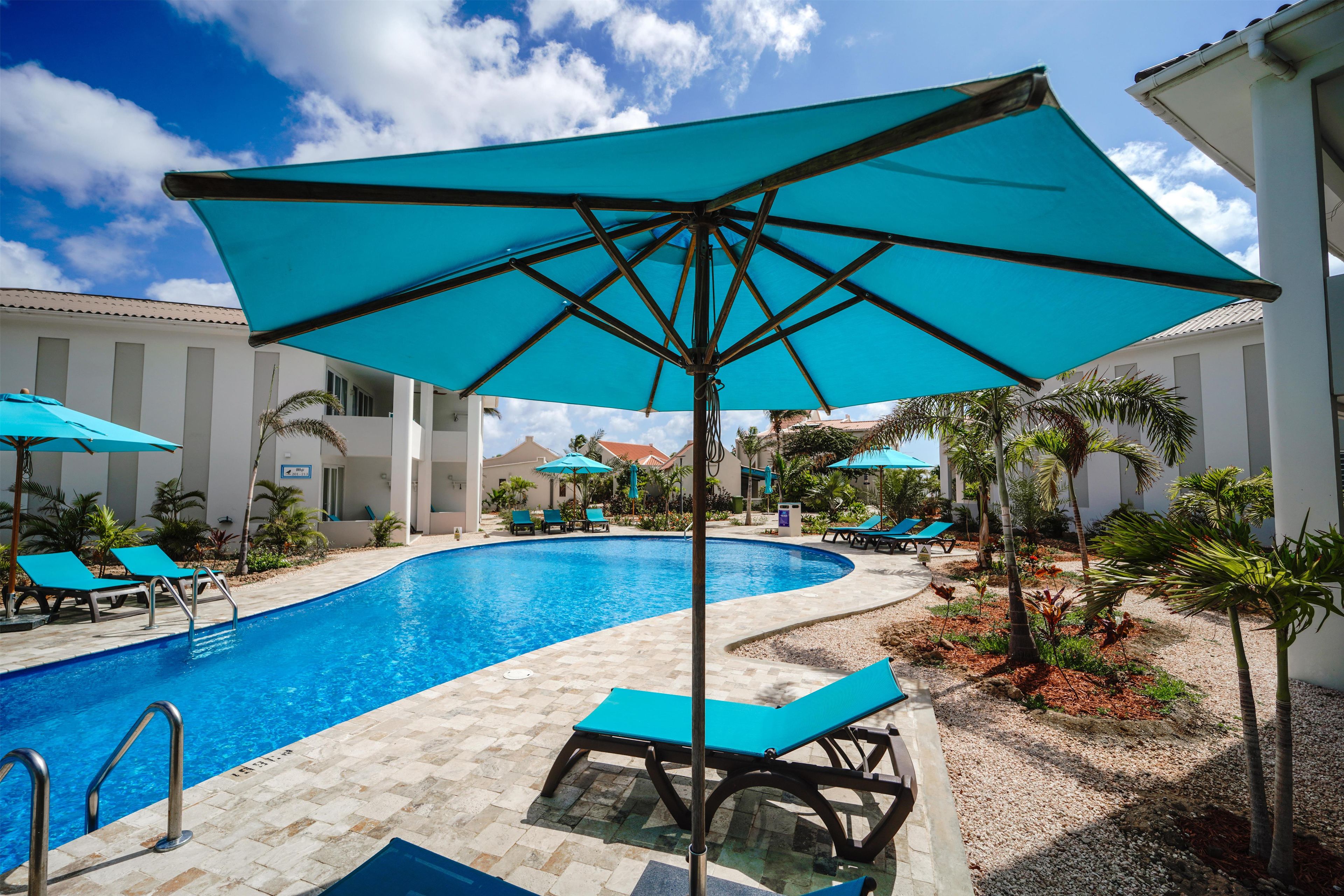 Piscina com espreguiçadeiras e guarda-sóis, cercada por palmeiras e edifícios.