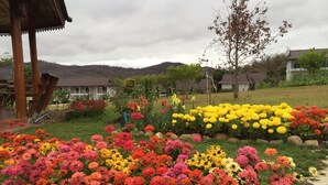 Um jardim com diversas flores coloridas e uma estrutura de madeira em primeiro plano.