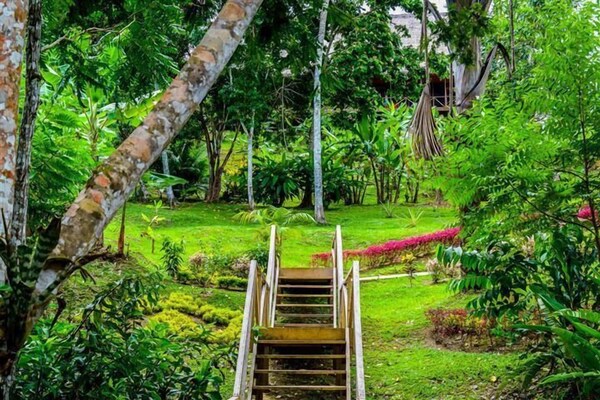 Lakshmi Ecolodge And Holistic Spa - Amazonas (estado)