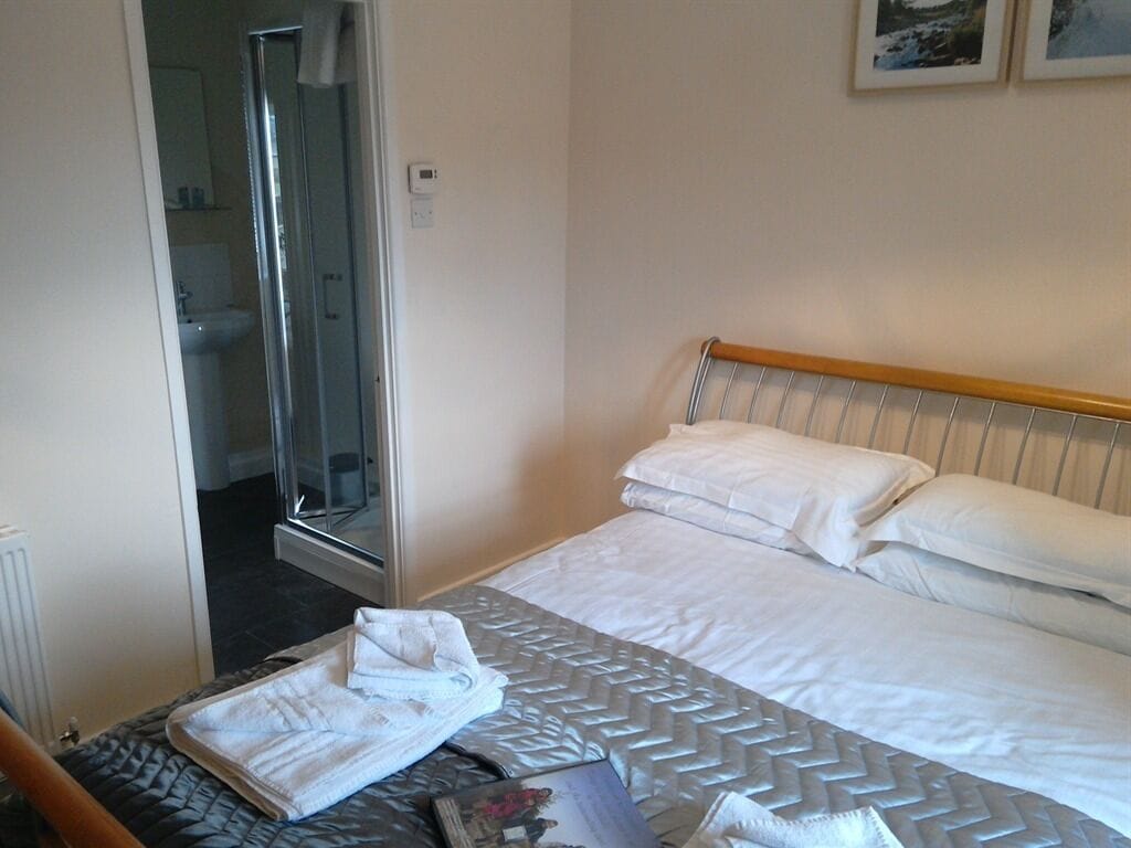 Quarto de hotel com cama, chuveiro e vaso sanitário.