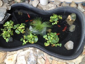 Entrada da propriedade