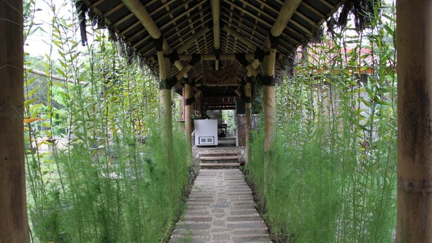 Uma galeria coberta com chão de pedra, ladeada por plantas de bambu, conduzindo a um edifício com fachada branca.