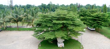 Jardim