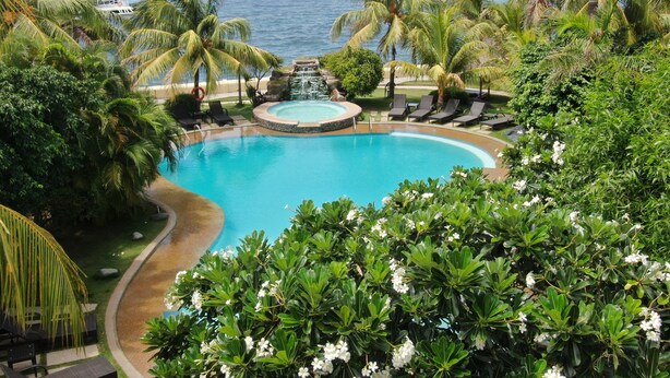 Piscina cercada por palmeiras com vista para o oceano.