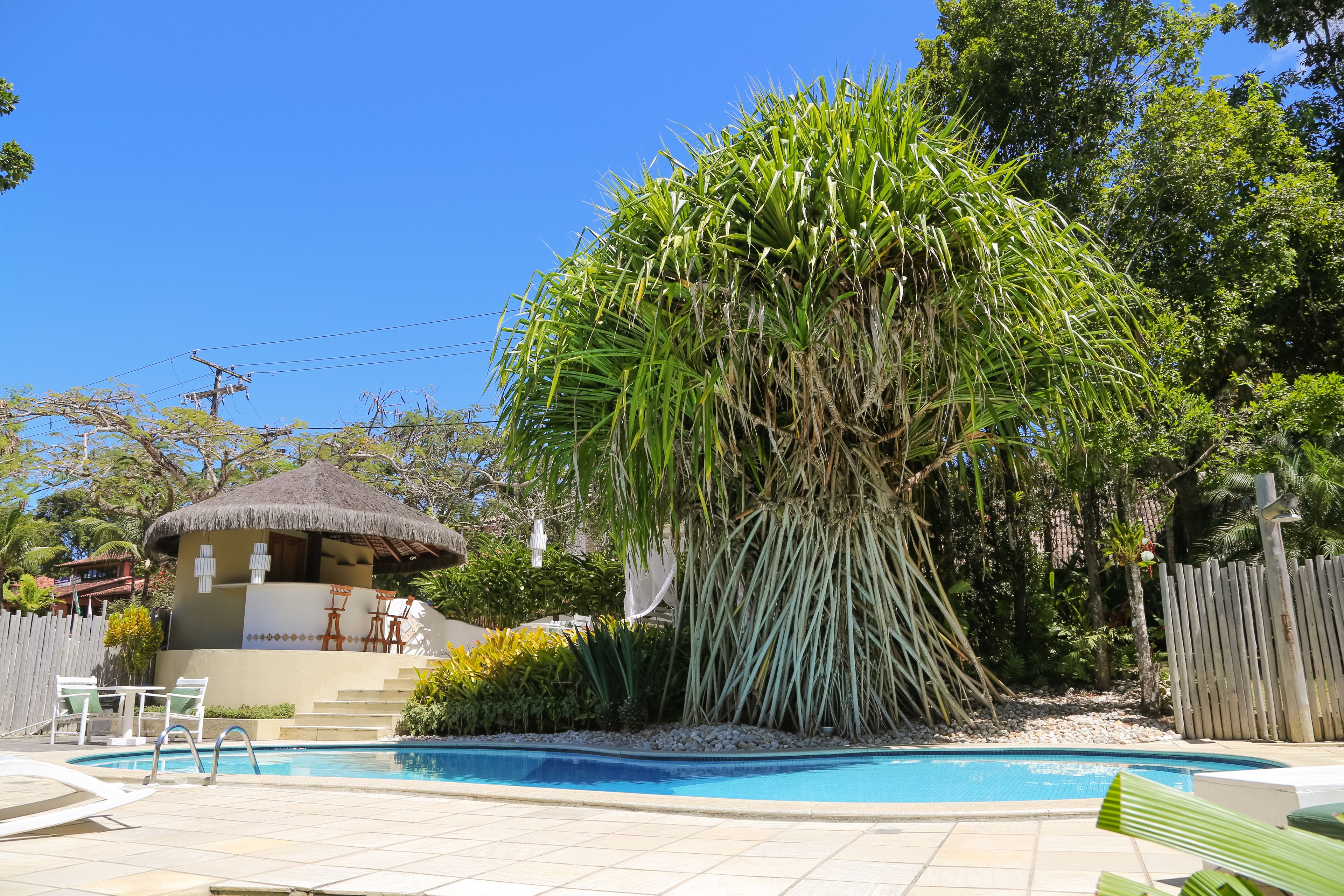 Uma área de piscina com estrutura de colmo, rodeada por vegetação exuberante e uma cerca de madeira.