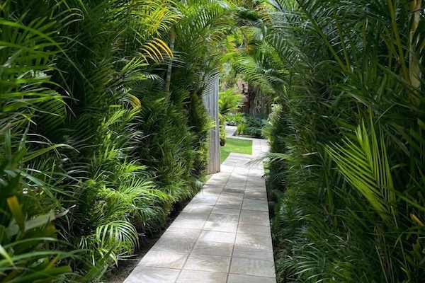 Terraço/pátio interior