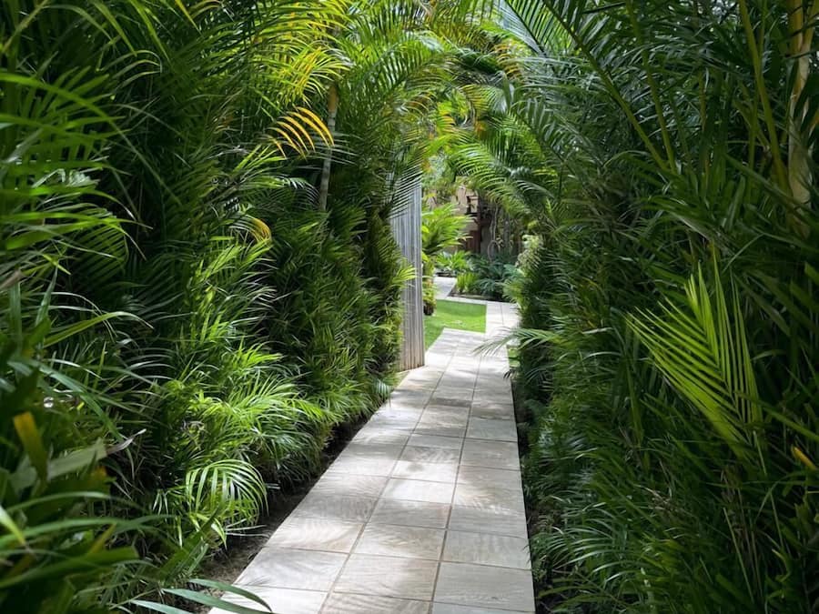 Terraço/pátio interior