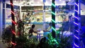 Espaço interno com uma pessoa sentada à mesa, rodeada por plantas em vasos e iluminada por luzes LED coloridas.