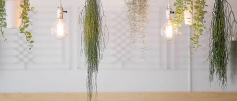 Um interior moderno com plantas pendentes em luminárias e um banco de madeira com almofadas xadrez.
