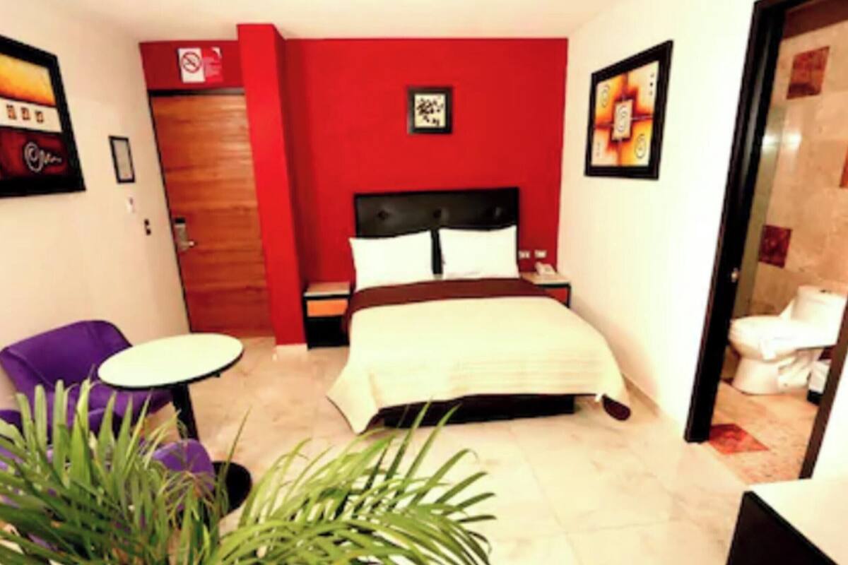 Quarto de hotel com cama, uma mesa pequena, uma cadeira, uma planta e banheiro.