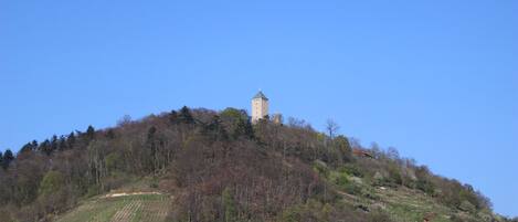 Uma torre numa colina, rodeada por vegetação e campos.