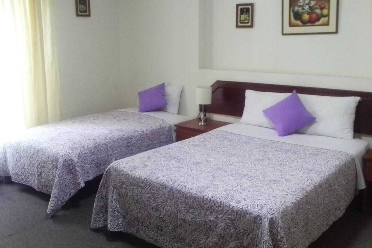 Quarto de hotel com duas camas de solteiro, cada uma com colcha estampada e um travesseiro roxo. Há uma mesinha de cabeceira com uma luminária entre as camas. O quarto tem um design simples e limpo, com uma parede branca e um quadro emoldurado sobre as camas.