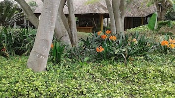 Terrenos do alojamento