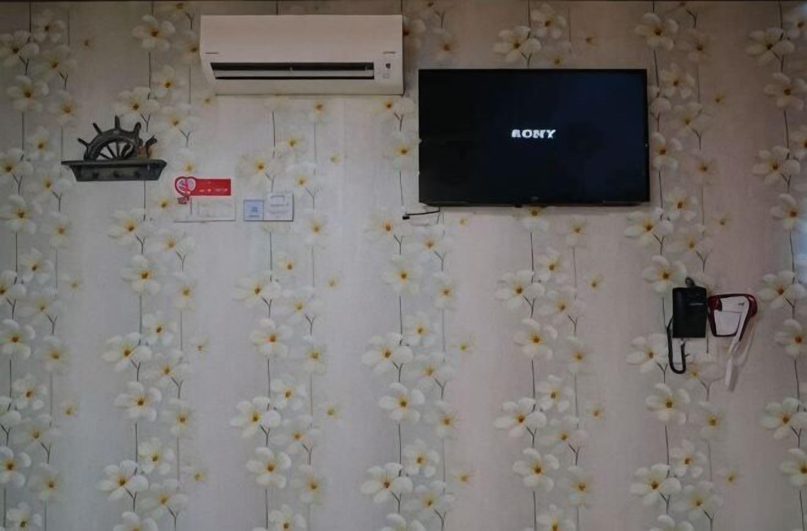 Televisão