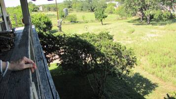 Um deck de madeira com vista para um gramado com árvores e céu claro.