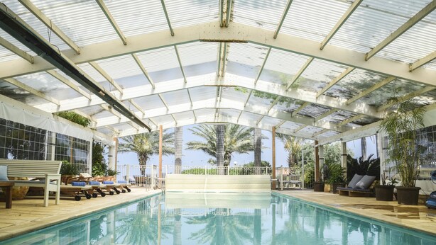 Piscina interna com teto de vidro, espreguiçadeiras e plantas em vasos.