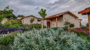 Um edifício residencial com telhado em cerâmica, rodeado por vegetação exuberante e diversas plantas.