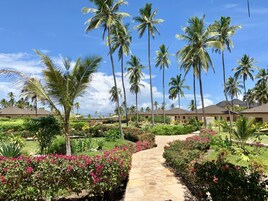 Jardim