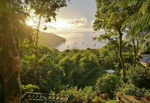 Paisagem verde e exuberante com vista para o mar e barcos.