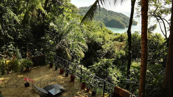 Quarto luxo, 1 cama Queen, vista para o oceano | Vista da propriedade