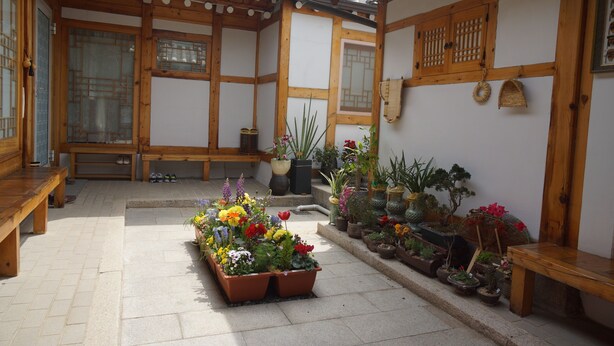 Decoração tradicional japonesa com tatames, vigas de madeira e diversos vasos de plantas e flores.