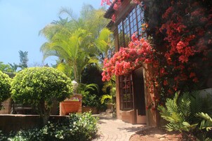 Um caminho no jardim leva a um edifício com uma grande janela e porta. Há várias plantas e flores ao longo do caminho.