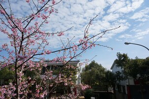 Entrada do alojamento